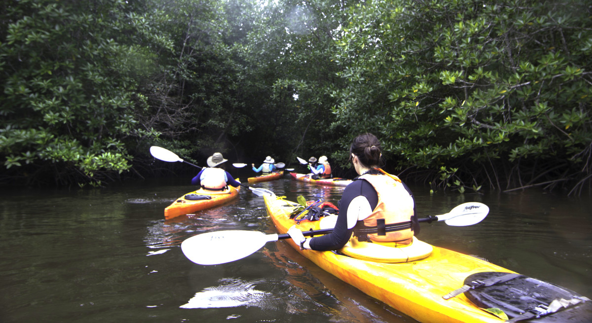 Study Abroad in Thailand with ISDSI