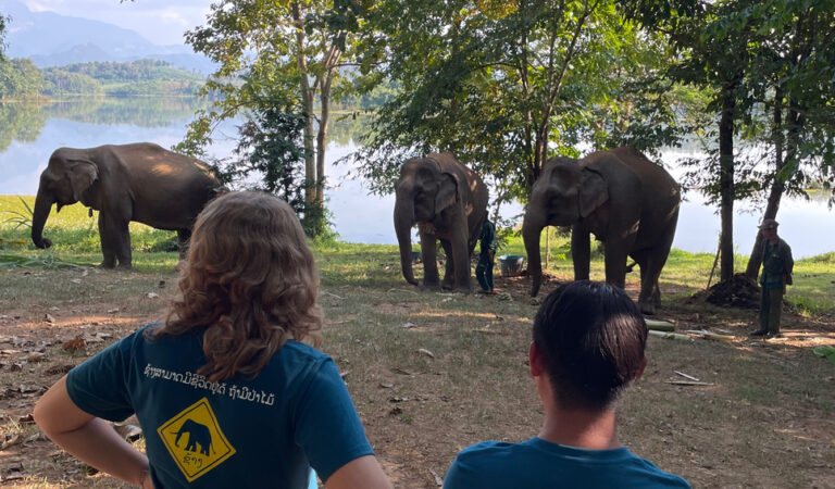 Elephants and Conservation Ecology - ISDSI